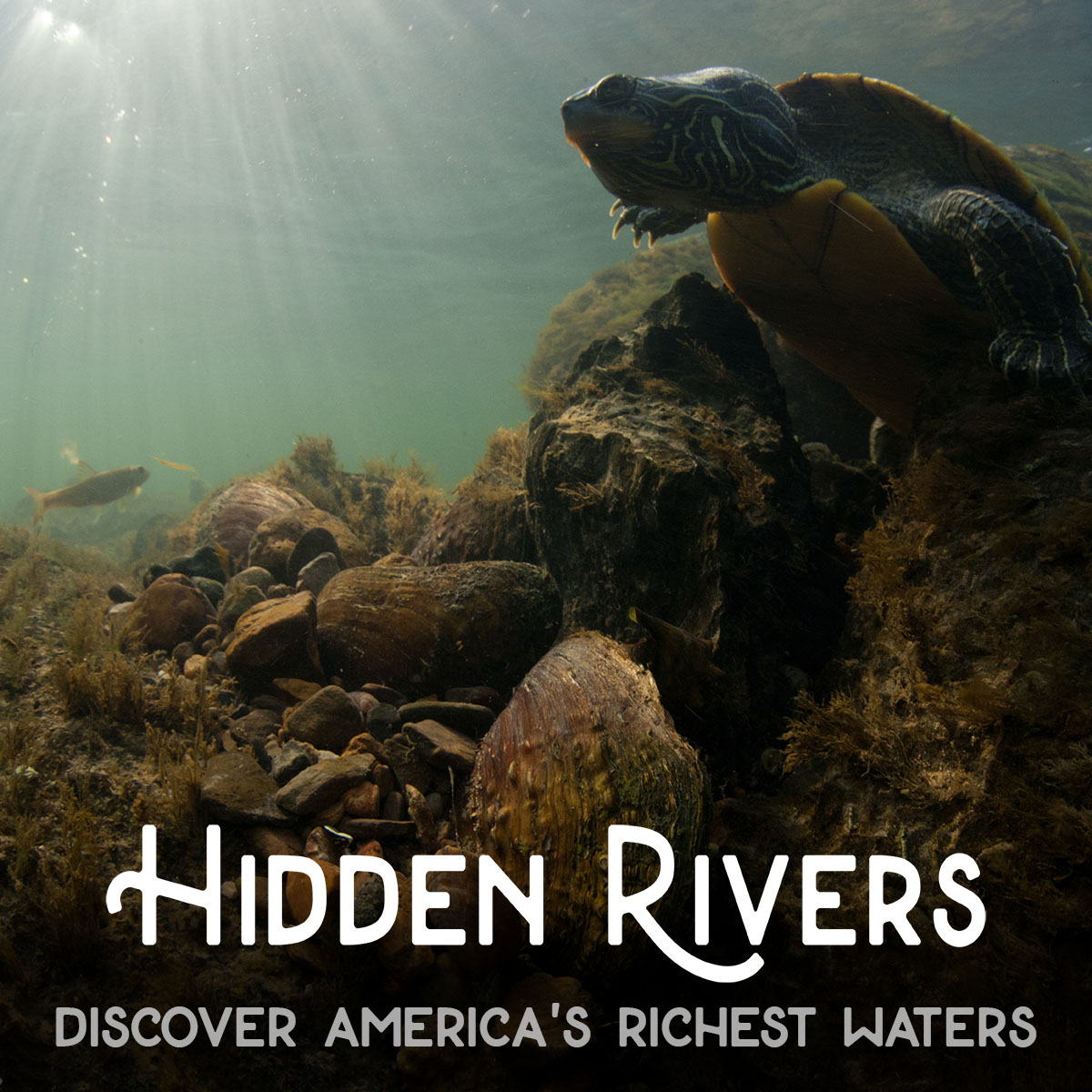 Hidden Rivers Film: Discover America's Richest Waters | Mississippi ...