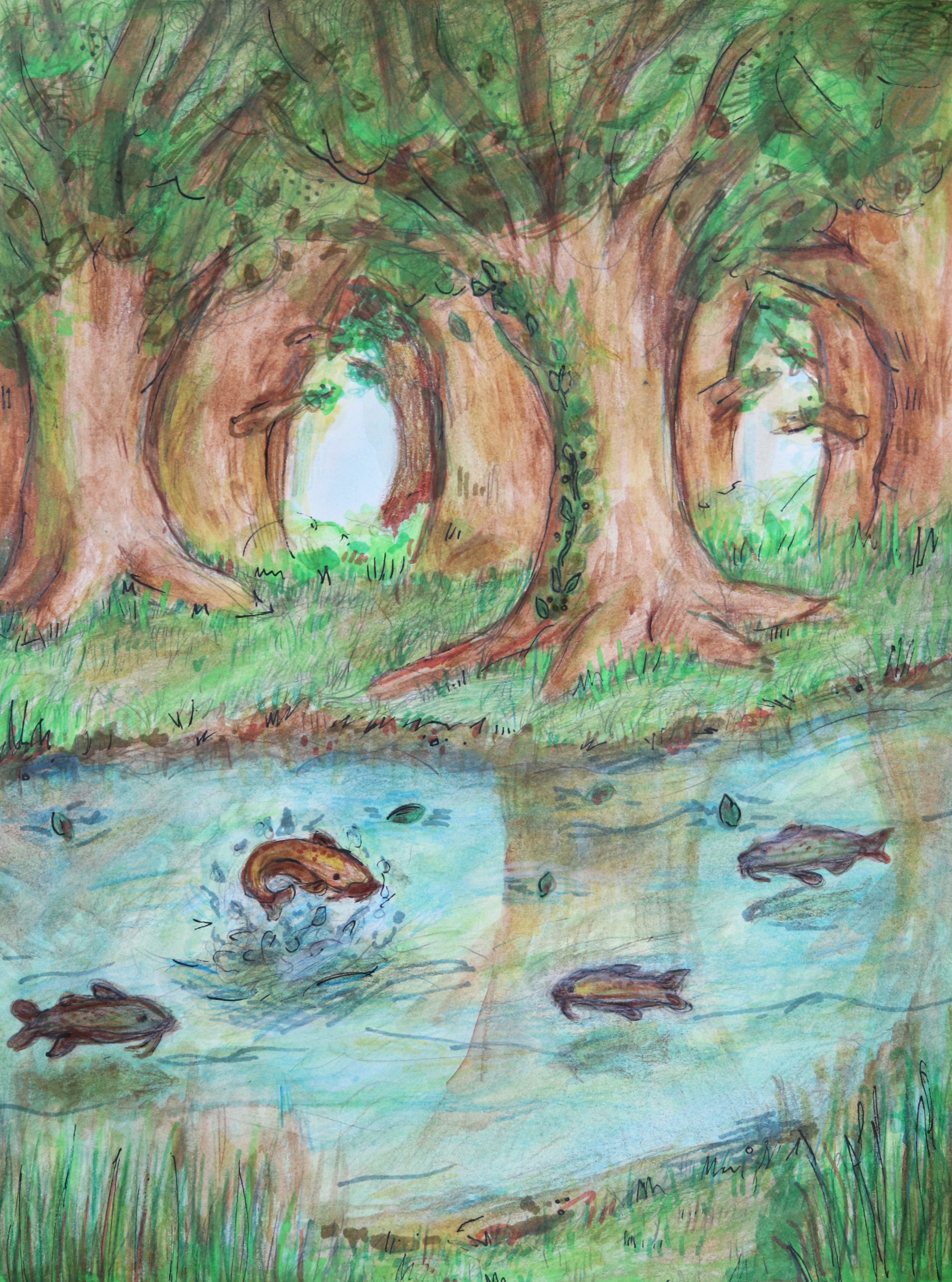 2024 Category II Winners | Mississippi Department of Wildlife ...